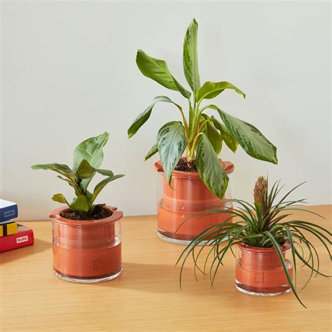 Self Watering Wet Pots Medium Moma Design Store