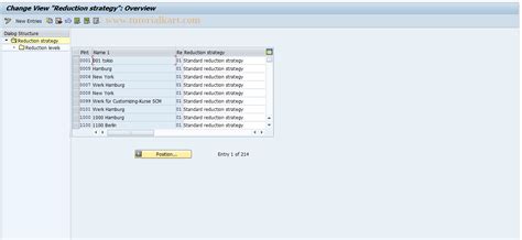 OPUL SAP Tcode PS Maintain Reduction Strategies