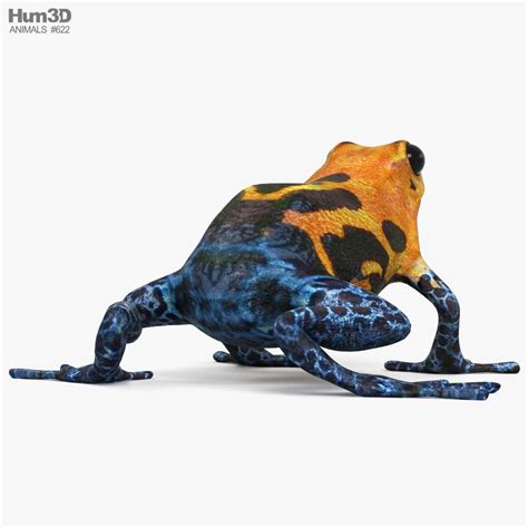 Poison Dart Frog 3d Model Download Amphibians On