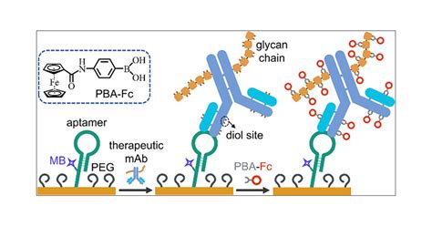 Amplification Free Ratiometric Electrochemical Aptasensor For Point Of Care Detection Of