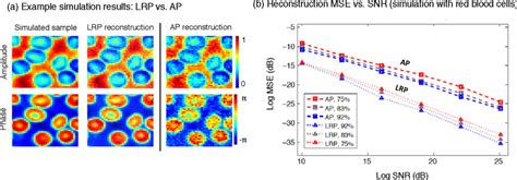 simulation of the lrp and ap algorithms using the same parameters as