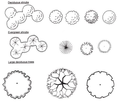 Tree Symbols In Landscape Plan
