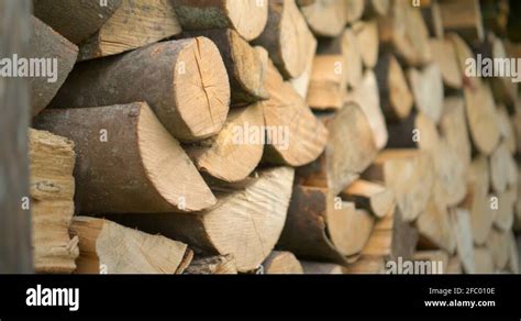 Tree Cross Section Fossil Stock Videos Footage HD And 4K Video Clips Alamy