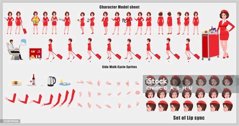 아름다운 스튜어디스 워크 사이클 애니메이션과 캐릭터 디자인 모델 시트 소녀 캐릭터 디자인 및 턴어라운드 벡터 등장인물에 대한 스톡 벡터 아트 및 기타 이미지 Istock