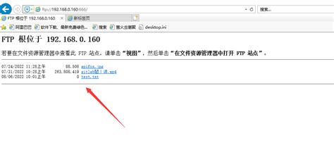Python秒级创建erver和fp文件服务器 Csdn博客