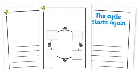 Editable Life Cycle Workbook Teacher Made Twinkl