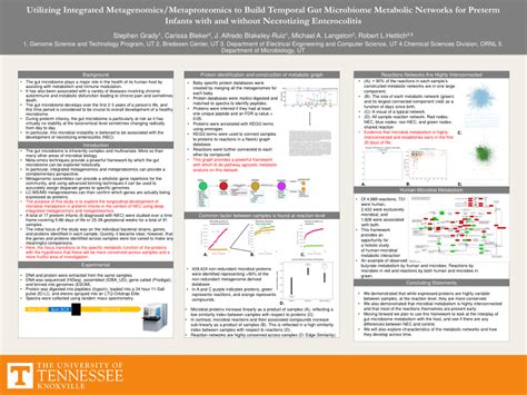 Pdf Utilizing Integrated Metagenomicsmetaproteomics To Build