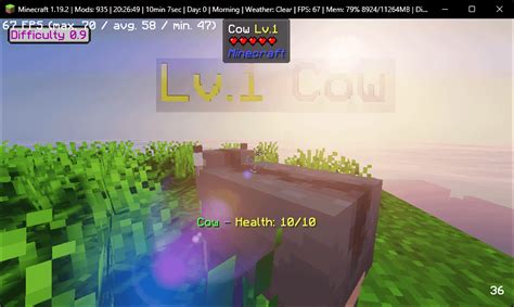 which mod adds this difficulty bar and level system r fabricmc