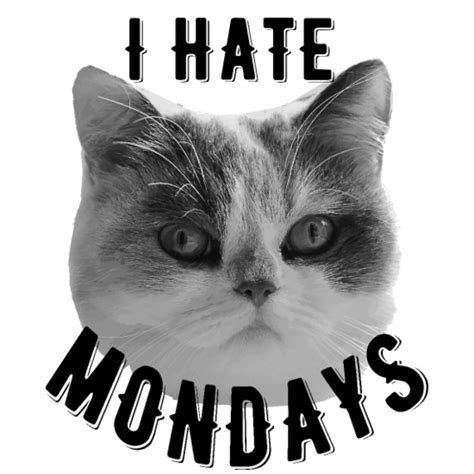 I Hate Mondays Grumpy Cat Rip Internet Celebrity Meme Queen Grumpy Cat