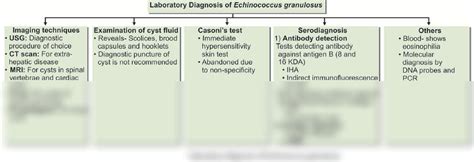 Solution Cestodes Cyclophyllidea Echinococcus Granulosus Diagnosis