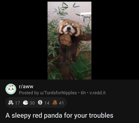 Thanks How Cute R Rimjob Steve