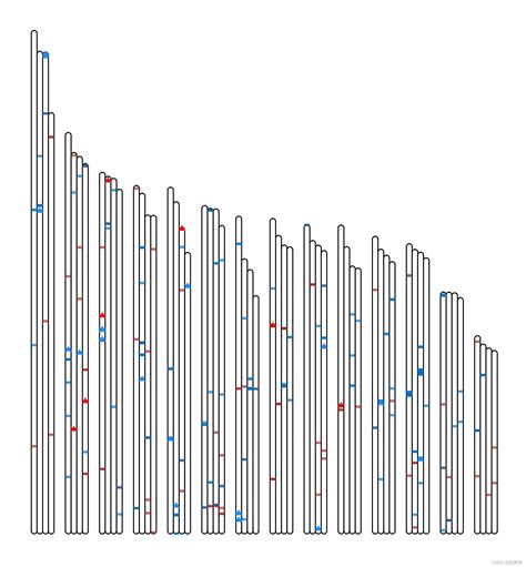 ggplot2画图——将筛选到的突变位点（基因）画到染色体上 如何绘制snp在染色体上的分布图 csdn博客