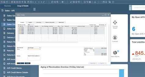 sap business one navigation b1 consulting
