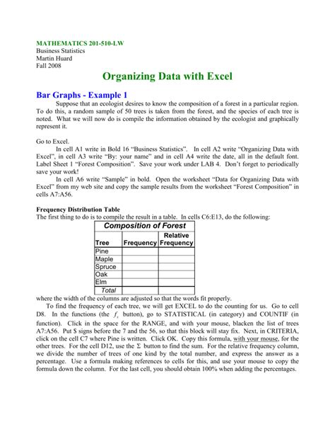 Organizing Data With Excel