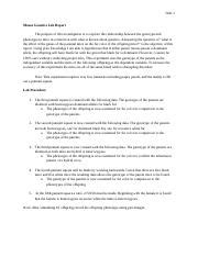 Mouse Genetics Lab Report 2 Docx Hull 1 Mouse Genetics Lab Report The Purpose Of This