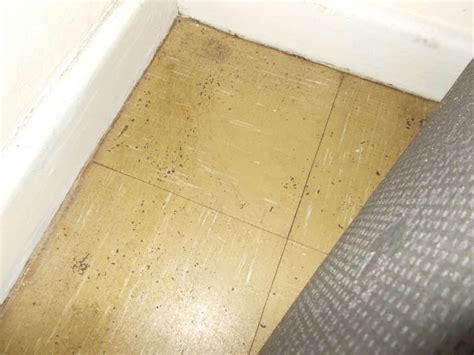 What Does Asbestos Vinyl Tile Look Like At Angelica Harris Blog