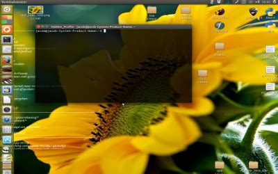 Display Resolution Fix Scaling Of Java Based Applications For A High DPI Screen Ask Ubuntu