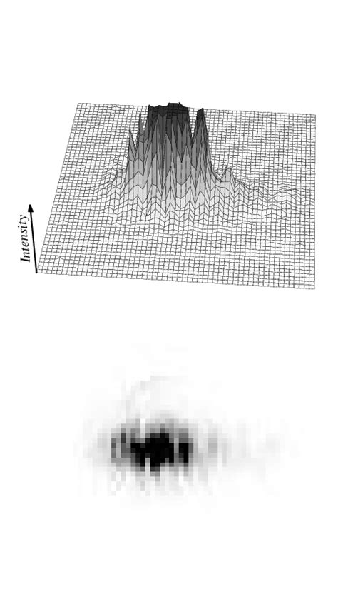 Plots Of Spatial Intensity Distribution Of 649 Nm Emission In The