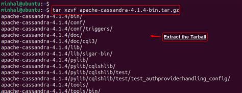 How To Install Apache Cassandra On Ubuntu 24 04 Linux Genie