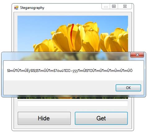 Saving Jpeg Image In C Changes Pixels Stack Overflow