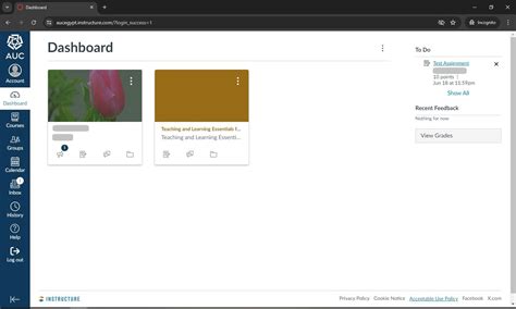 logging in auc learning management systems