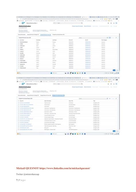 Gu Sap S4 Hana Cloud Maintain Business Roles Docx