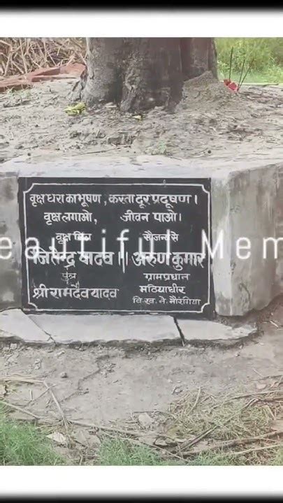 Vriksha Mitra Jitendra Gopal Name With Marble Board Youtube