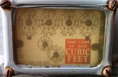 Utility Meter Reader Nice Idea Flawed Implementation We Saw A Chicken