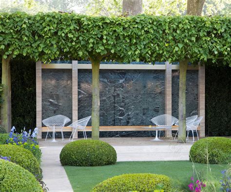 How To Grow Pleached Trees For Privacy And Screening Homes And Gardens
