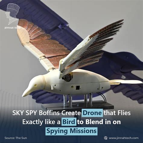 Jinnah Tech On Linkedin Jinnahtech Dronetech Birdmimicry Stealthyspies Innovationinflight