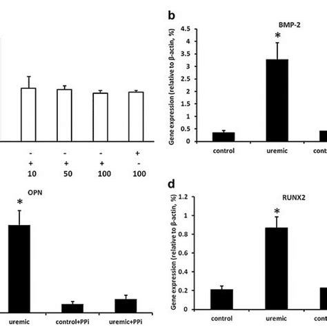 Pyrophosphate Ppi Prevents Calcium Deposition And Osteogenic Gene Download Scientific Diagram