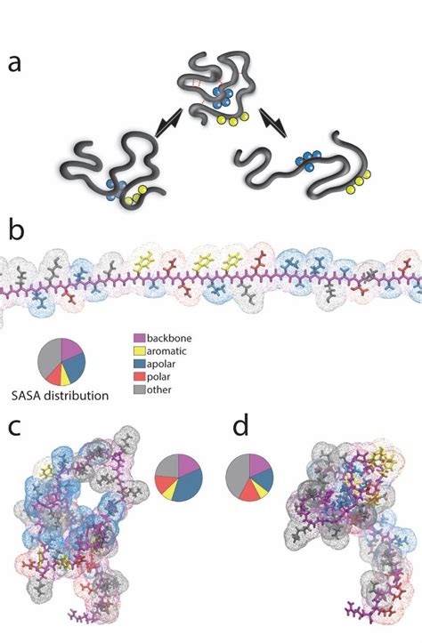 Principle Of Solution Space Scanning A An Arbitrary Conformation In Download Scientific