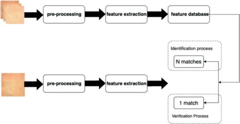 A Federated Learning Framework Using Fedprox Algorithm For Privacy