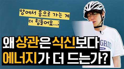 초쌤 식신보다 상관이 더 힘든 이유 YouTube