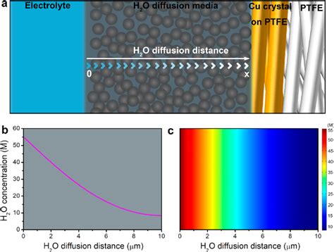 A Illustration Of Triple Phase Interfaces With The Introduction Of H