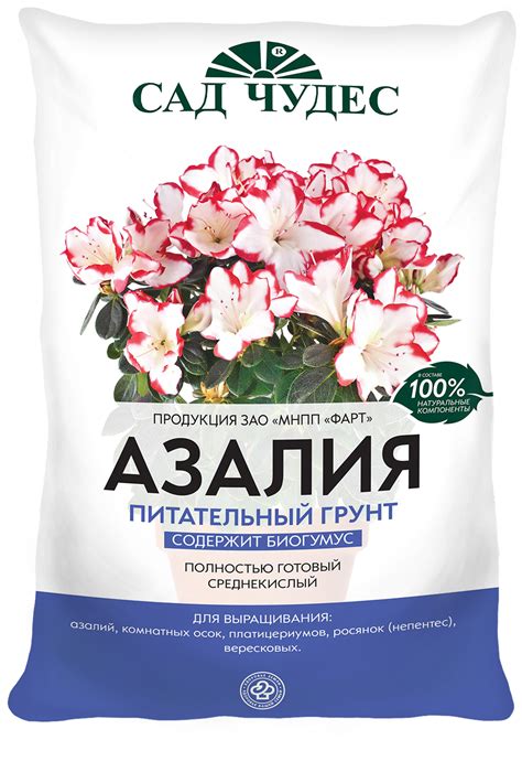ГРУНТ