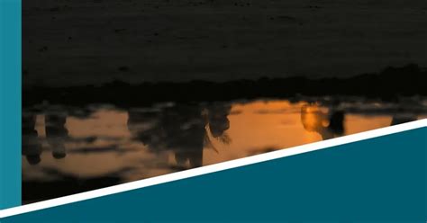 The Palgrave Handbook Of European Migration In Literature And Culture” Edited By Stan And