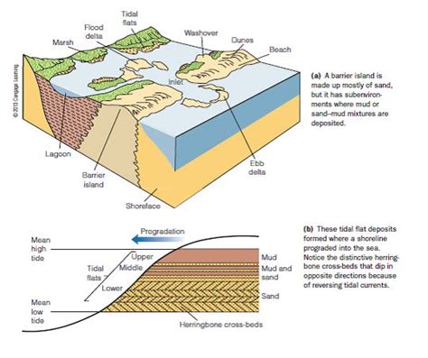 Solved Use The Images Below To Explain Why Prograding Deltas