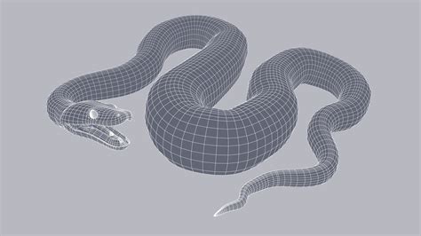 Scrub Python Static Poses 3d Model Turbosquid 2020575