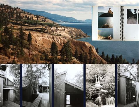 Shadygrove By Daisy Morrison Mass Exodus 2024