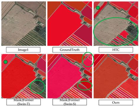 Multi Swin Mask Transformer For Instance Segmentation Of Agricultural
