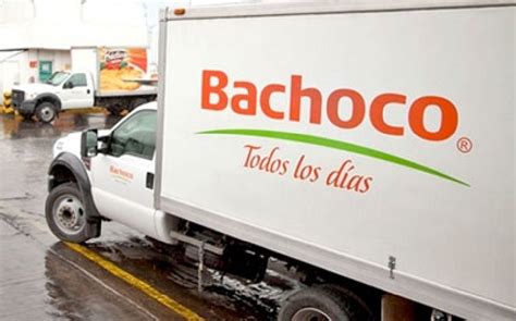 Noticias De Bachoco En Milenio Grupo Milenio