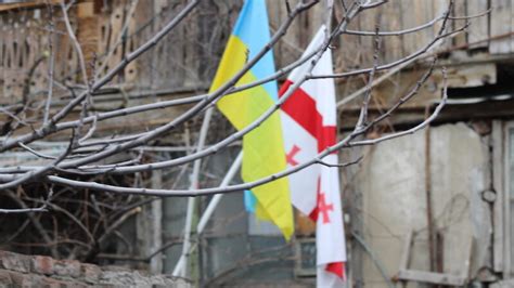 უკრაინაში კიდევ ერთი ქართველი მებრძოლი დაიღუპა Netgazeti • რუსეთის ომი უკრაინაში • საქართველო