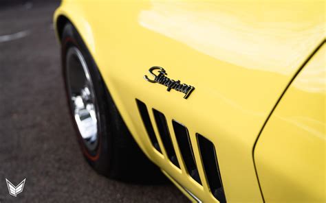 Stingray Explosive Curiosity