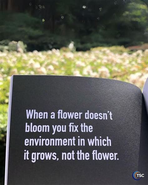 Fahad Rahim☑ On Linkedin 🌟 The Best Person In The Wrong Environment Wont Perform 🔍 Look At Your