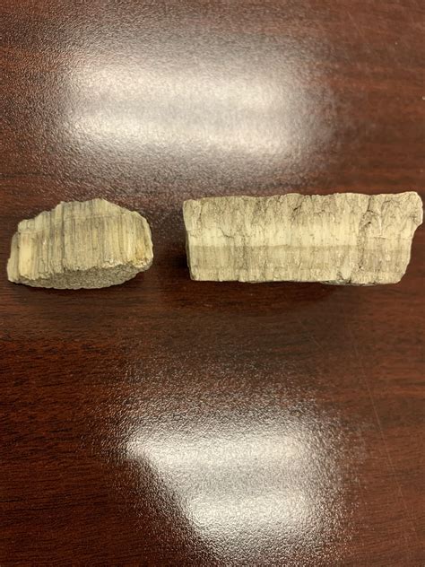 What Is This Found Near The Blue Rim In Wyoming 4 26 20 Near Tons Of