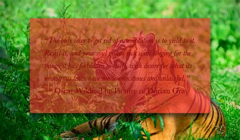 chapter 4 visual effects css secrets [book]