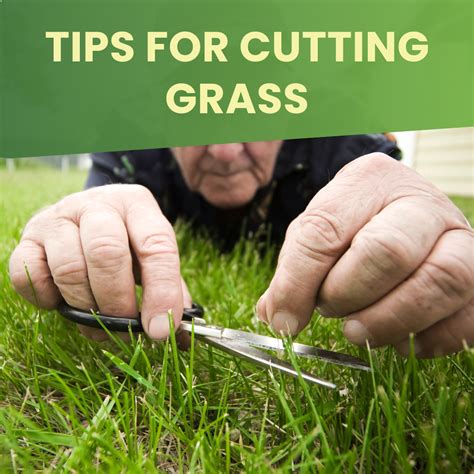 Cutting Grass Tips
