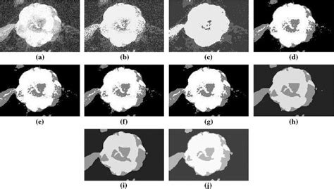 Segmentation Results Of The Second Natural Image A Noisy Image