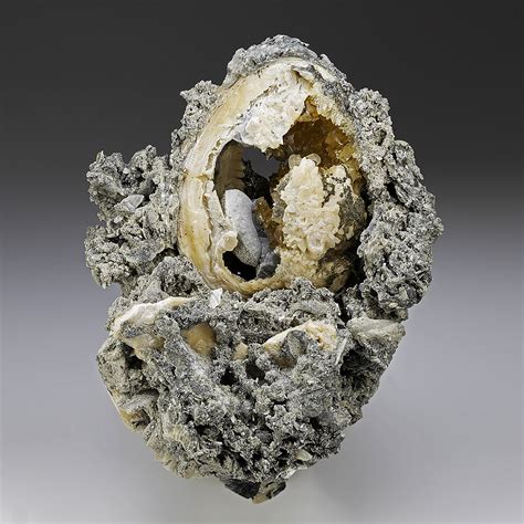 Calcite With Fossilized Clam Shell Minerals For Sale 4971085